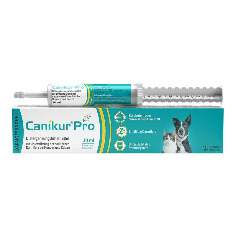 Tierapotheke pillevet - bis zu 50%* günstiger! - Canikur Pro